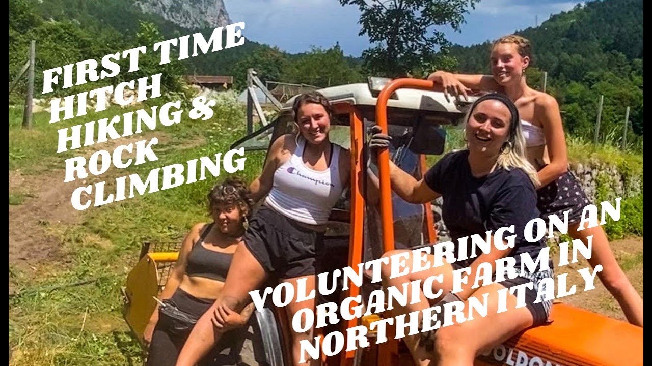 WORKING ON A FARM IN ITALY (WWOOF) - YouTube