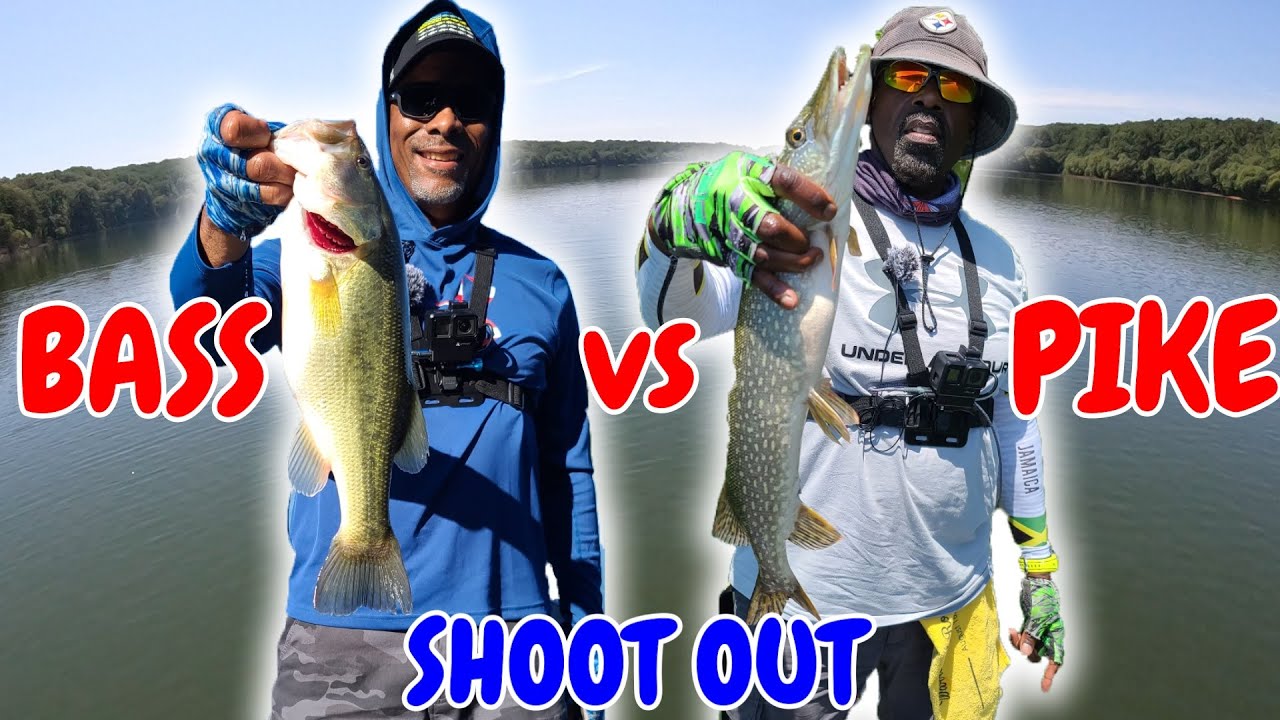 Which is More Aggressive? Bass vs Northern Pike {Fishing Local ...