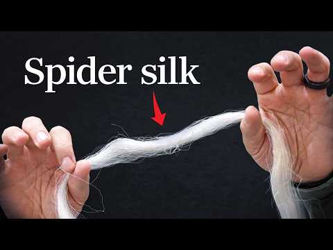 Is spider silk really stronger than steel?