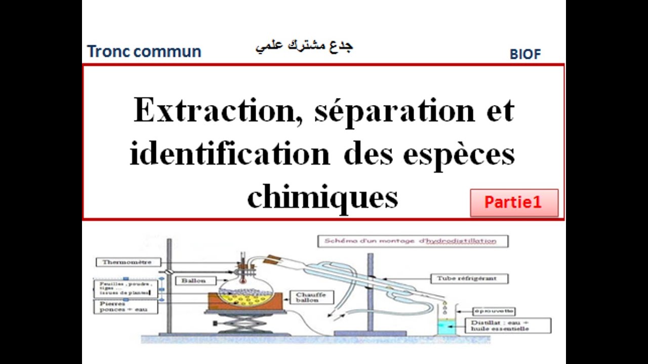 Extraction,séparation et identification des espèces chimiques :tronc ...
