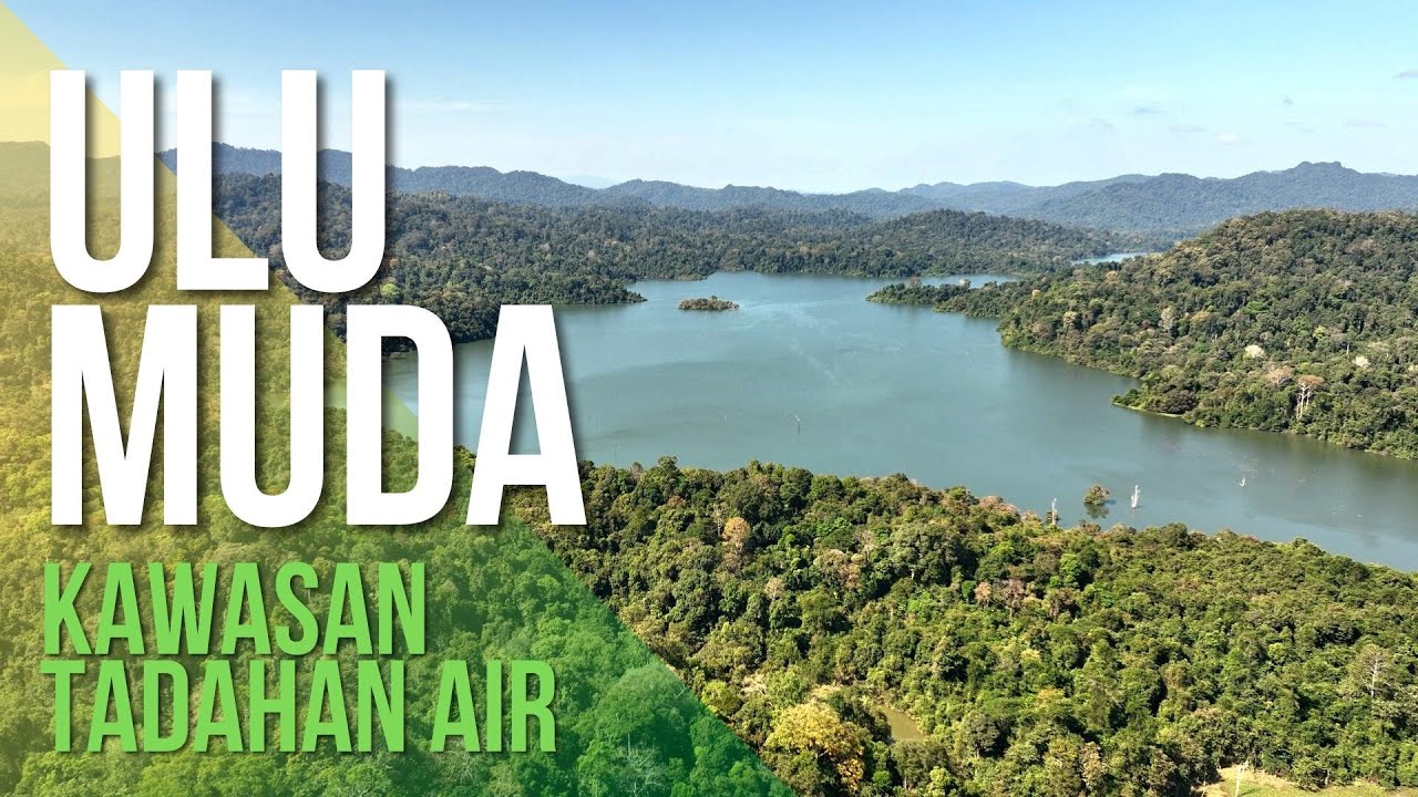 The Amazing Ulu Muda Forest (Ulu Muda Kawasan Tadahan Air) - YouTube