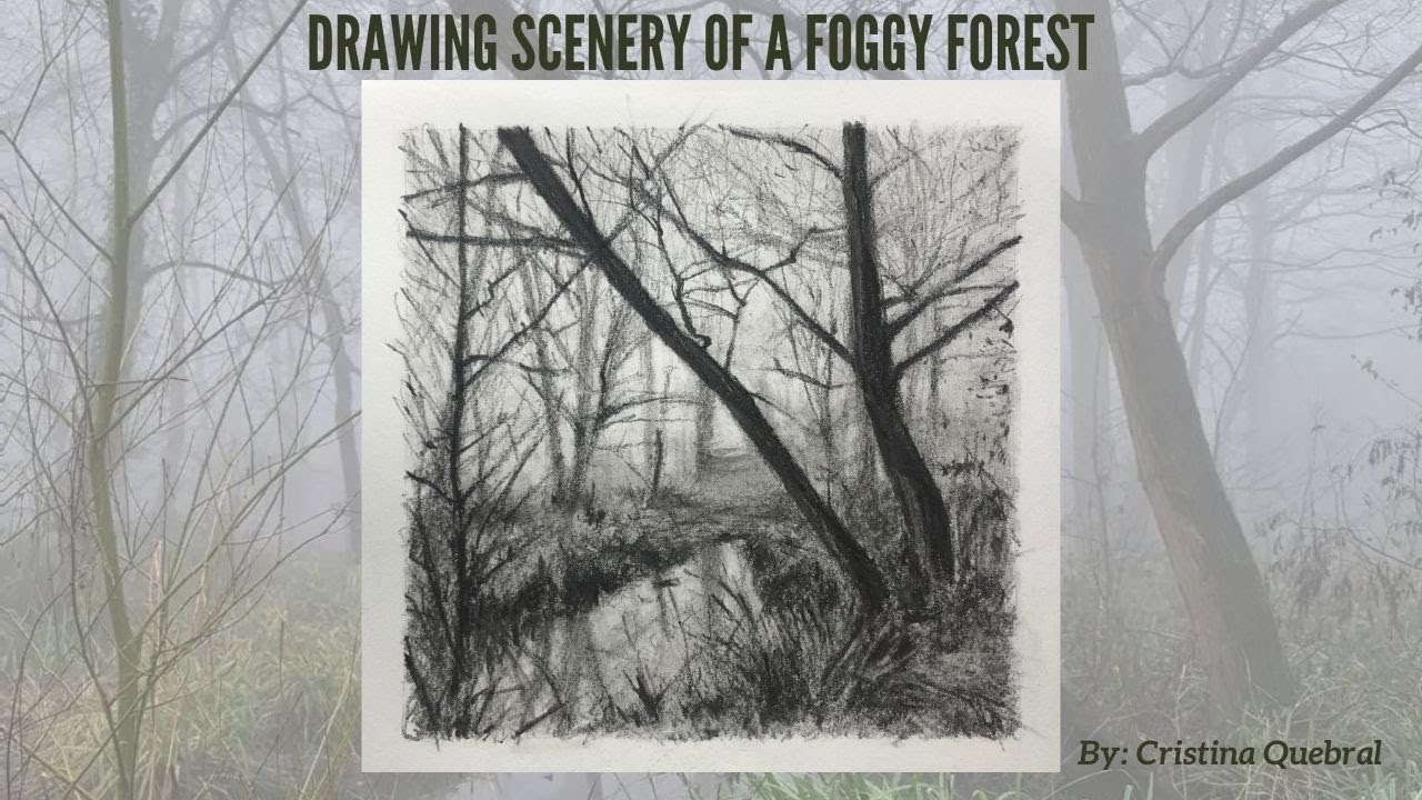 Drawing Scenery of a Foggy Forest using Graphite Pencil | Time Lapse ...