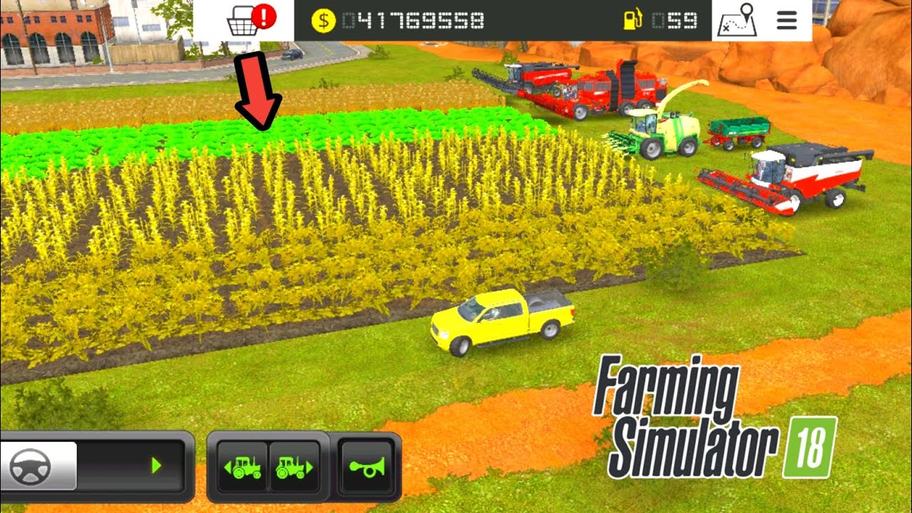 4 crops grown in one field in Fs18: corn, wheat, mustard, beetroot ...