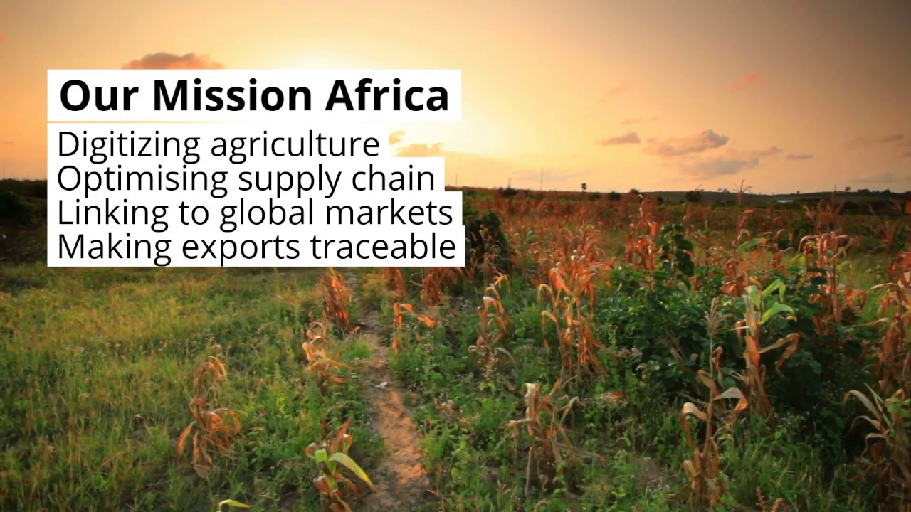 Digitizing Agriculture and Food Ecosystems in Africa - YouTube