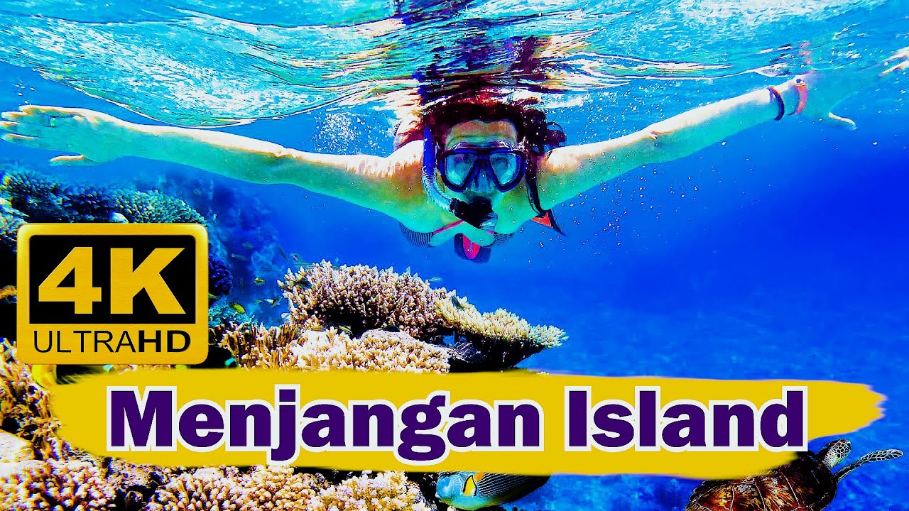 Snorkeling Menjangan Island in North Bali | Indonesia travel 4K - YouTube