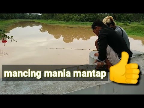 MANCING MANIA MANTAP - YouTube