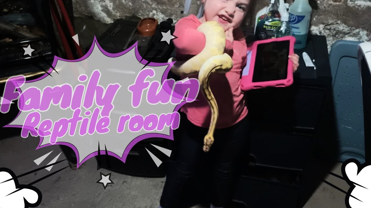 Father Daughter Ball Python Showcase REPTILE ROOM FUN!!! - YouTube