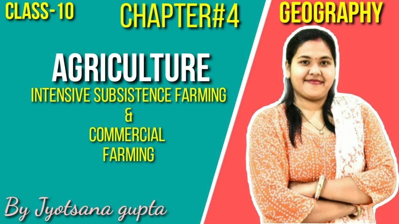 Agriculture /class 10/geography /ch -4 / intensive subsistence farming ...