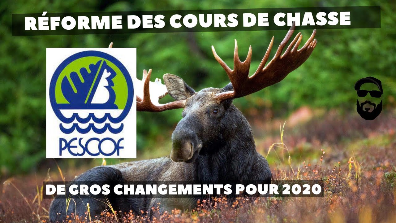 La nouvelle réalité des cours de chasse au Québec pour 2020 | Pierre's ...