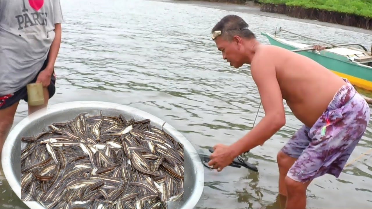 Ganito lang kadali hulihin Ang Isdang ito hito SA dagat or cat fish ...