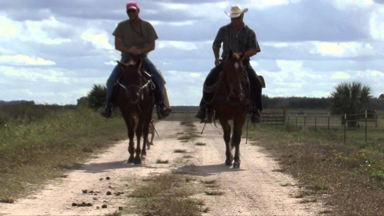 Zipperer Beefmaster Video 2014 - YouTube