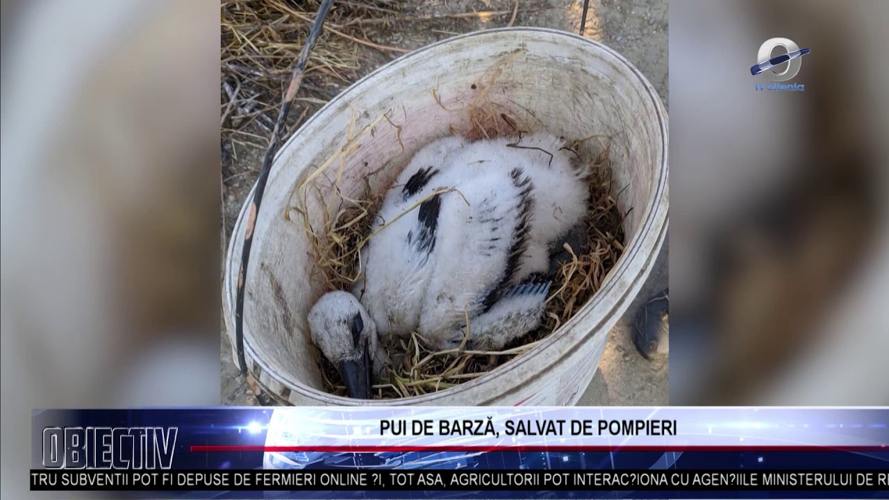 PUI DE BARZA, SALVAT DE POMPIERI - YouTube