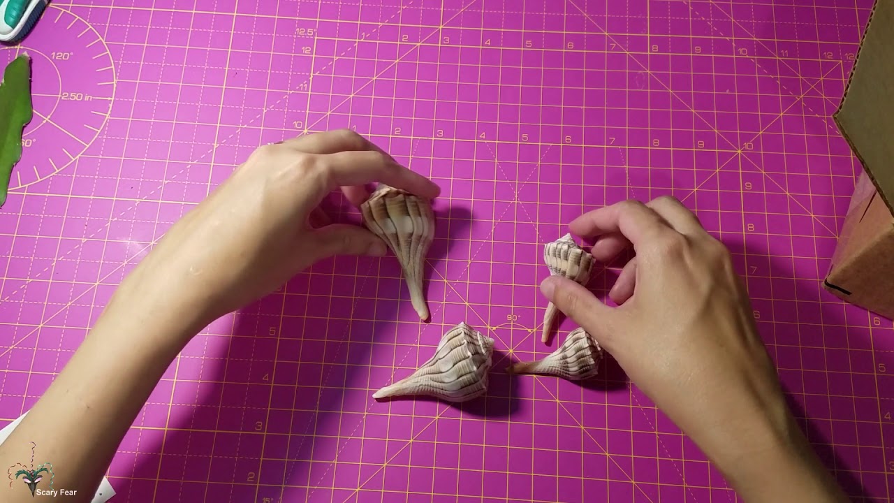 SWF Beach Life Shell Unboxing - YouTube