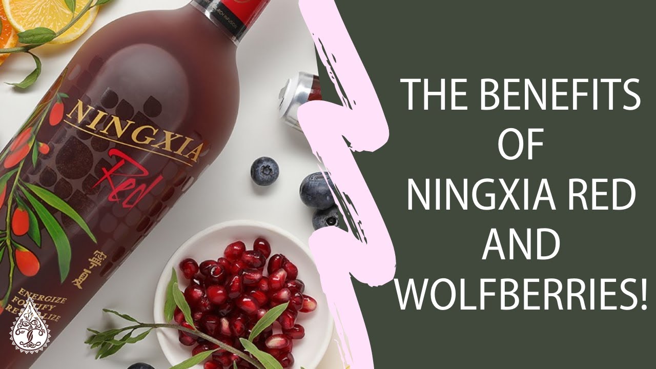 NingXia Red & Wolfberries - Create a Healthy Lunchbox for Kids - YouTube