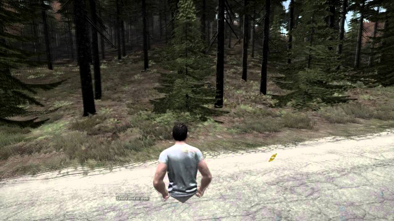 DayZ Standalone - Realistic apocalypse simulator - YouTube