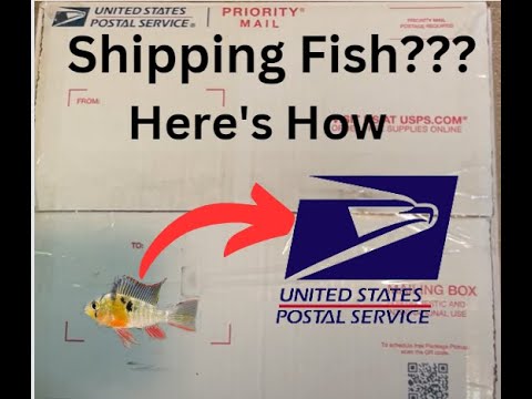 How to Ship Fish Through the Mail Quickly, Easily, and Safely - YouTube