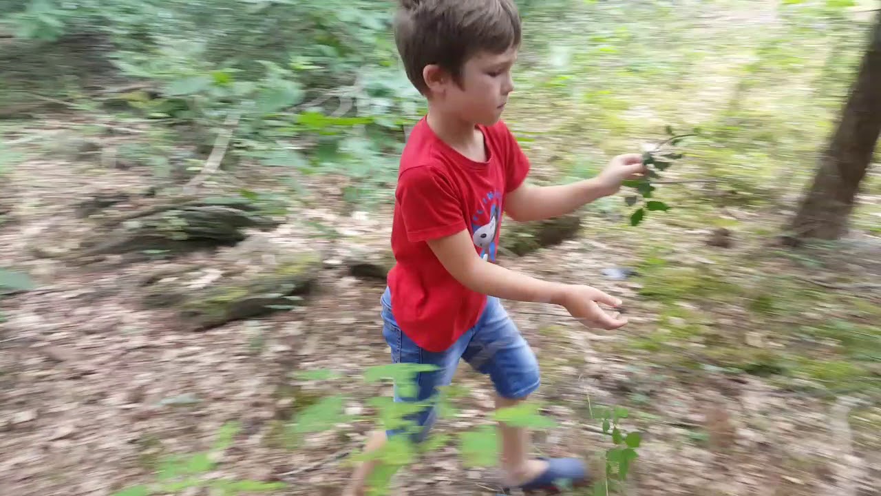 Aaron "Le Rusher" et sa cabane dans le bois - YouTube