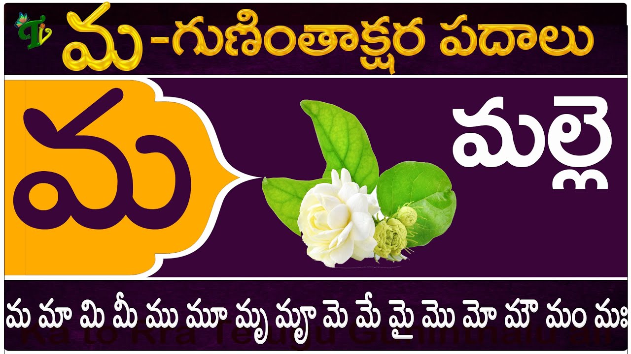 మ గుణింతాక్షర పదాలు | Ma Guninthakshara Padalu | Ma Gunintham padalu in ...