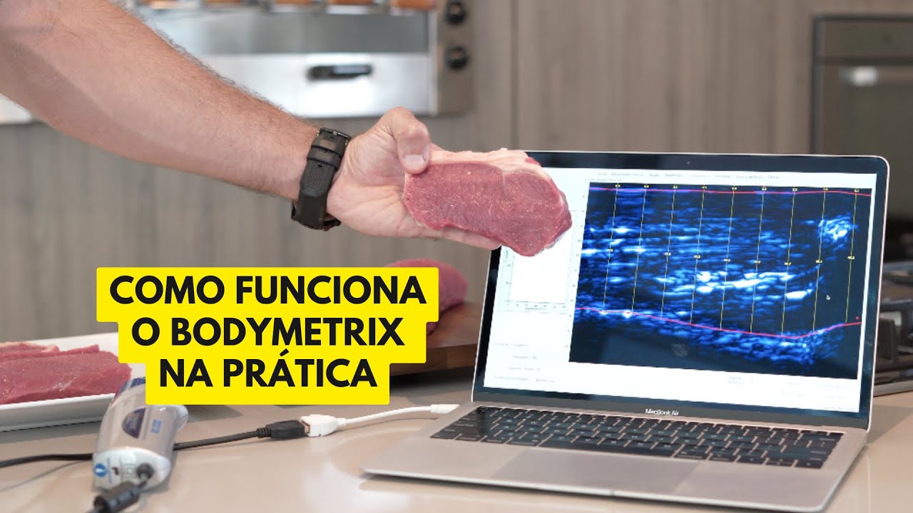 Como funciona o Ultrassom BodyMetrix com uma comparação inusitada ...