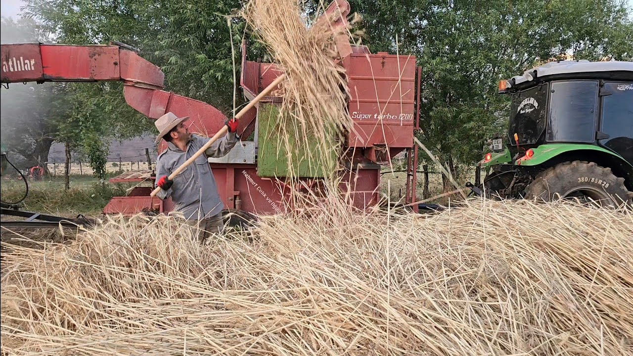 Hay Making with Old Machine - YouTube