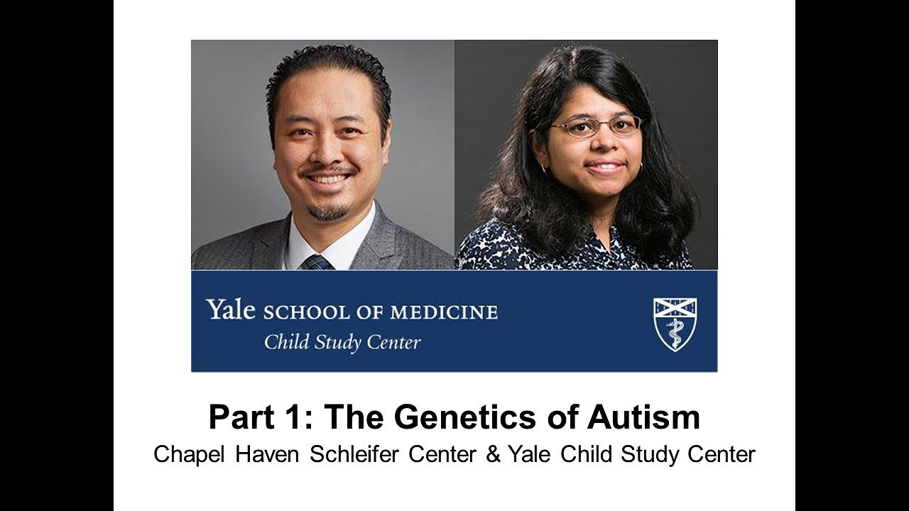 Yale Child Study Center Series, Part 1 - The Genetics of Autism - YouTube