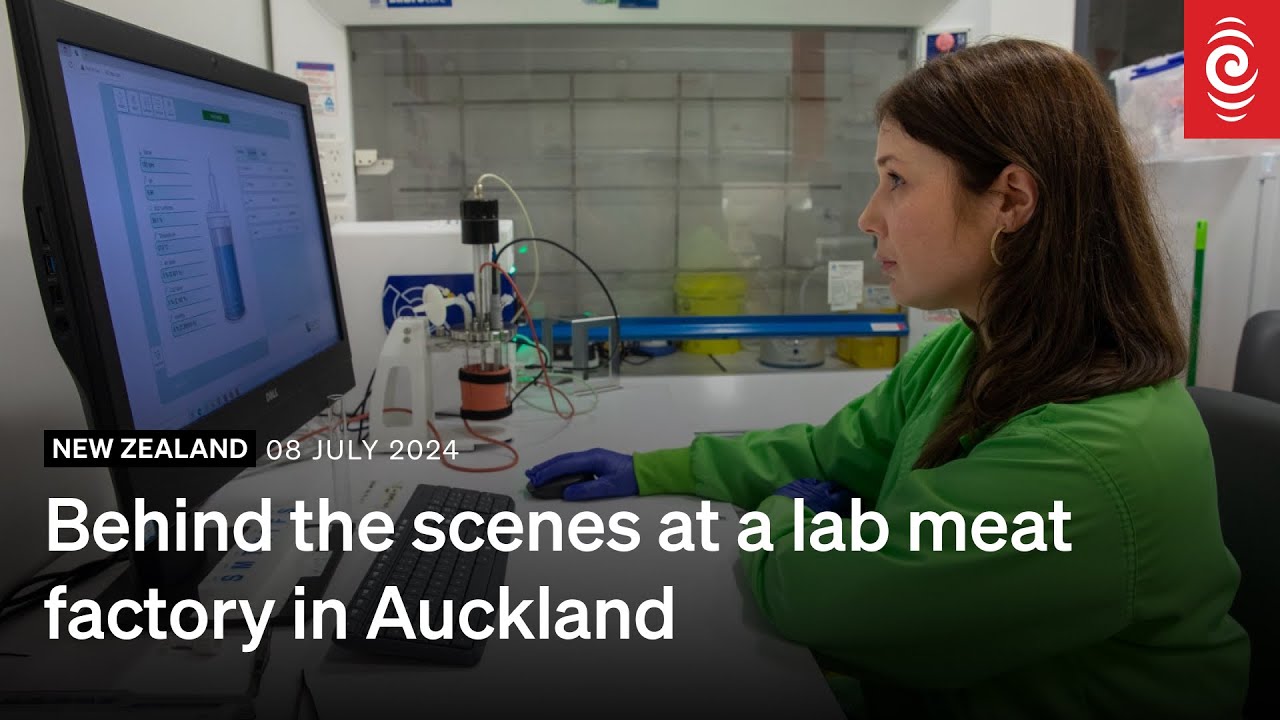 Behind the scenes at a lab meat factory in Auckland | RNZ - YouTube