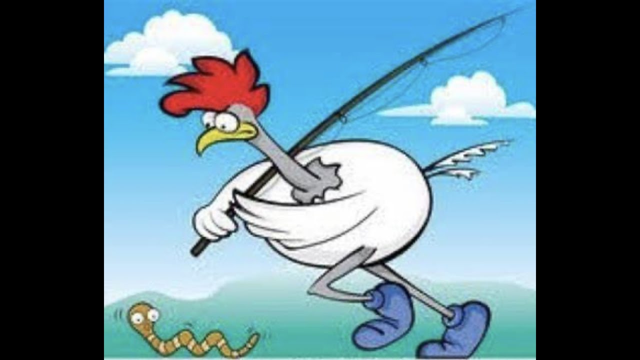 Fishing With Chicken ! (Special Guest on the boat) - YouTube