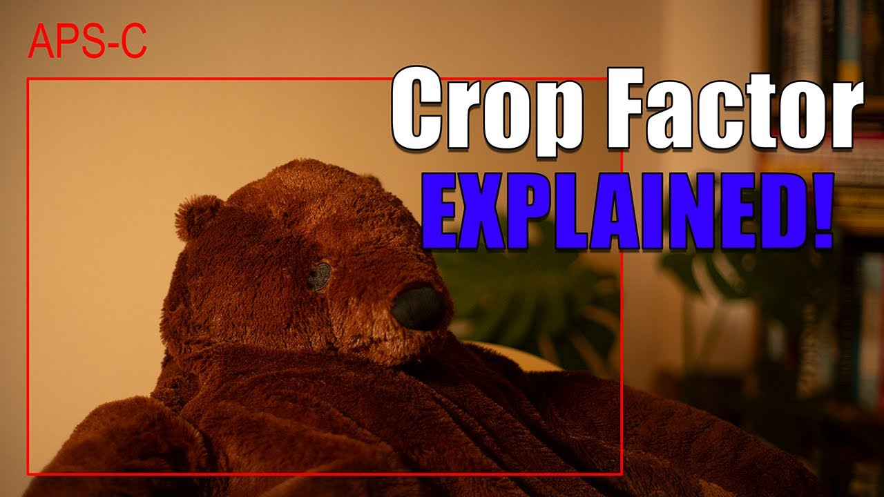Crop Factor Explained - YouTube