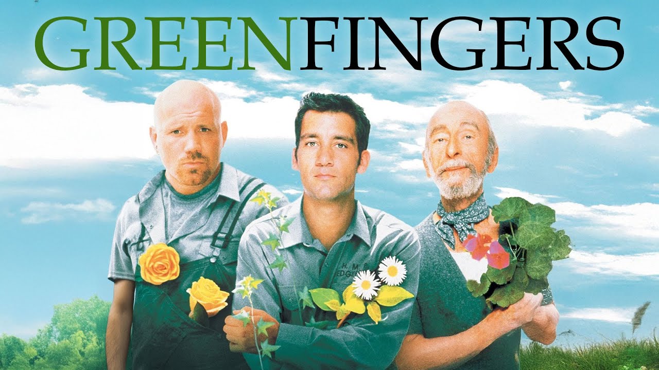 Feel-Good-Komödie: GREENFINGERS – HARTE JUNGS UND ZARTE TRIEBE | ganze ...