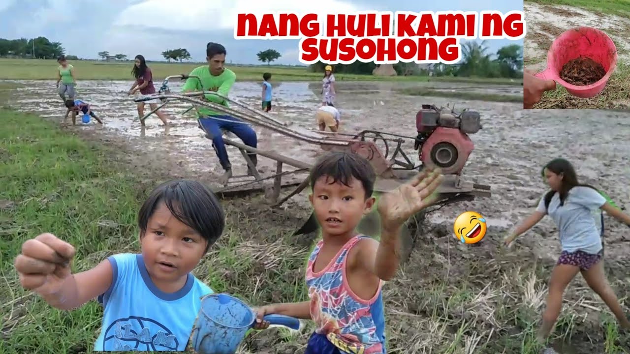 Buhay Probinsya | kumuha kami ng ararawan | susohong | bukid ...