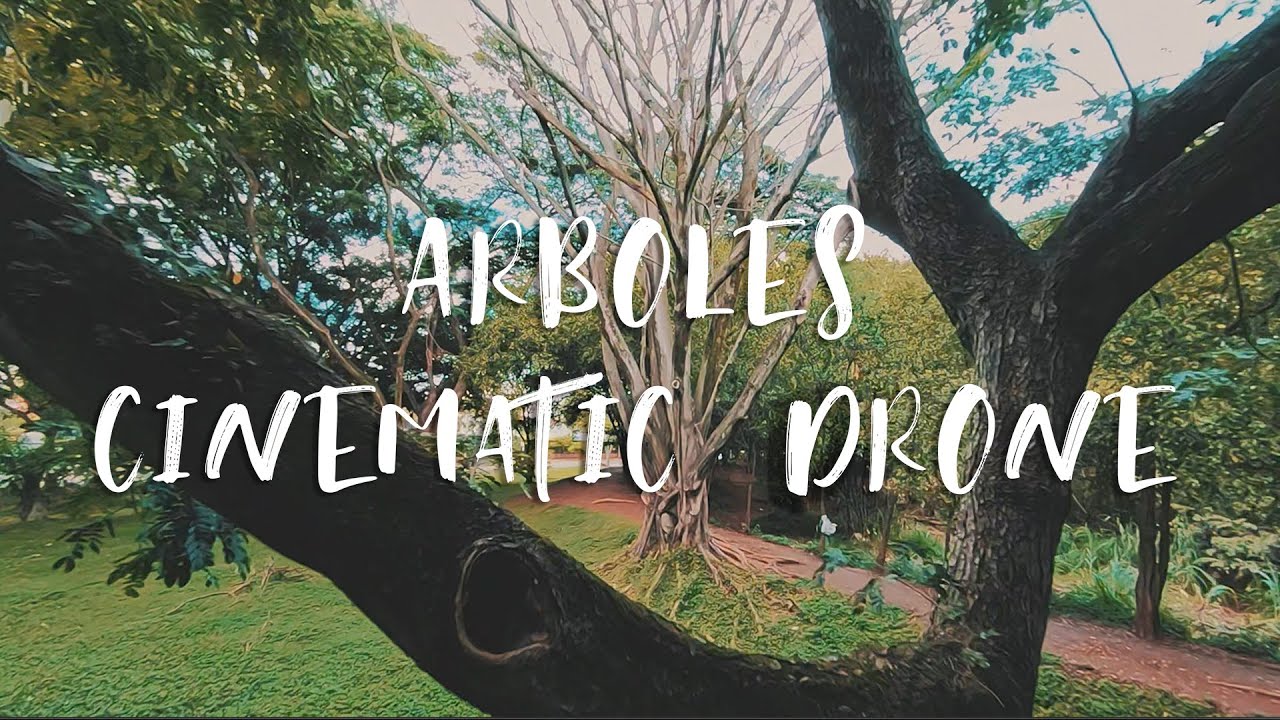 Cali Colombia, Parque El Ingenio - DRONE FPV 4K - YouTube