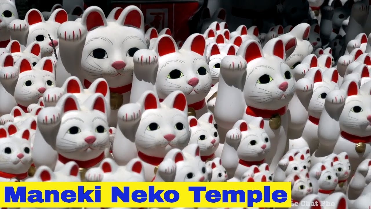 Gotokuji Temple Tokyo: The Secret Sanctuary of Japan’s Famous Maneki ...