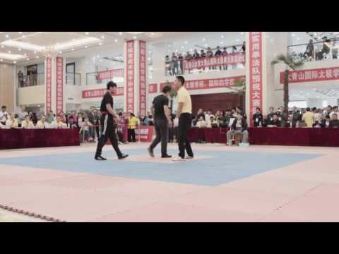 DQS 2016 TaiJi Push Hand Competition Part 042