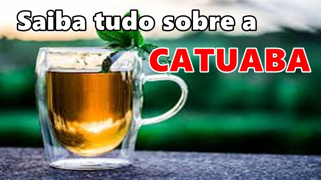 SAIBA TUDO SOBRE A CATUABA - YouTube
