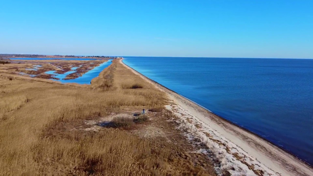Delaware Bay wetlands - YouTube