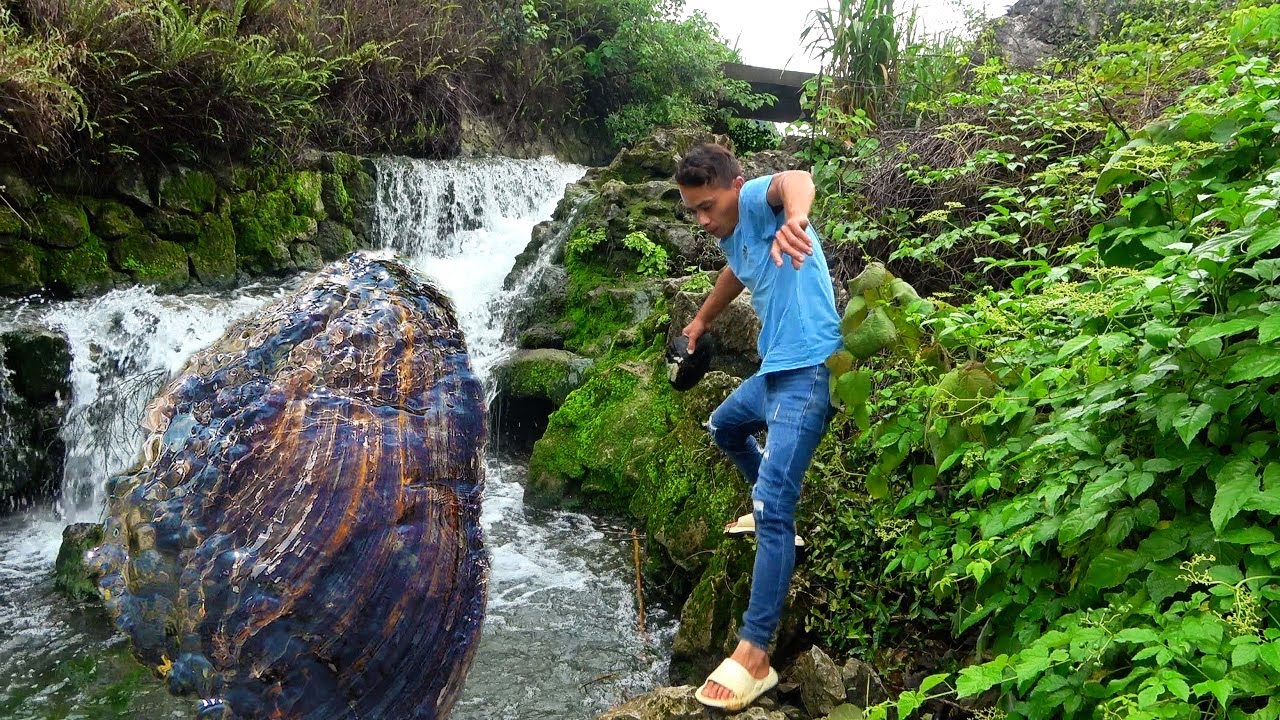 Treasure Battle: The girl opens the mutated giant clam to obtain pearls ...