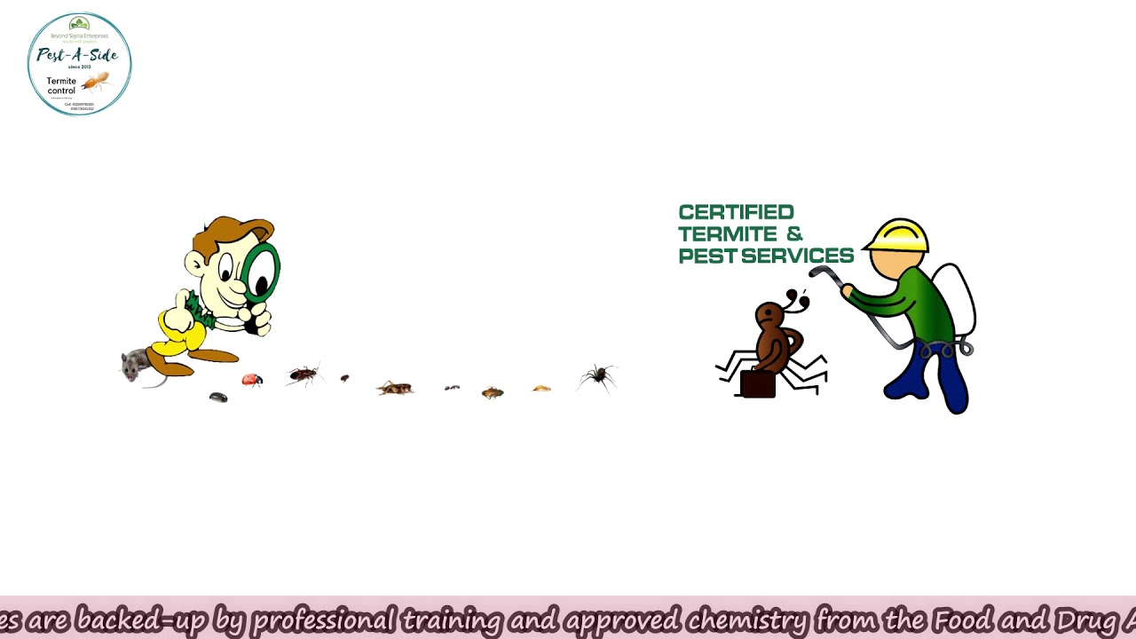 Pest-A-Side Termite Control - YouTube