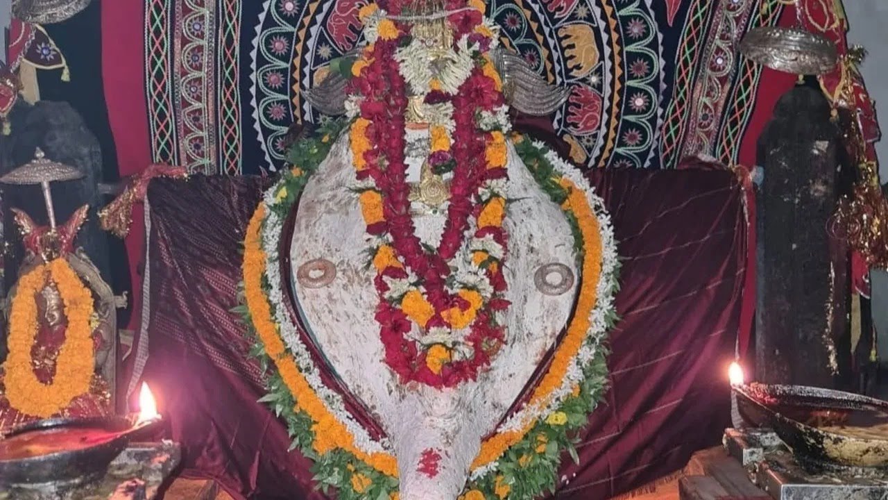 Goddess Samaleswari Adorns ‘Dhabalamukhi Besha’ - YouTube