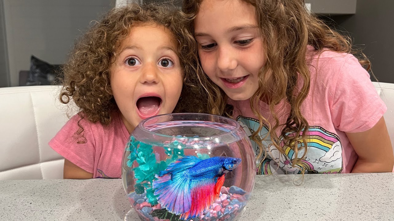 Sierra and Rhia got a new pet Fish - Guess the name?? - YouTube
