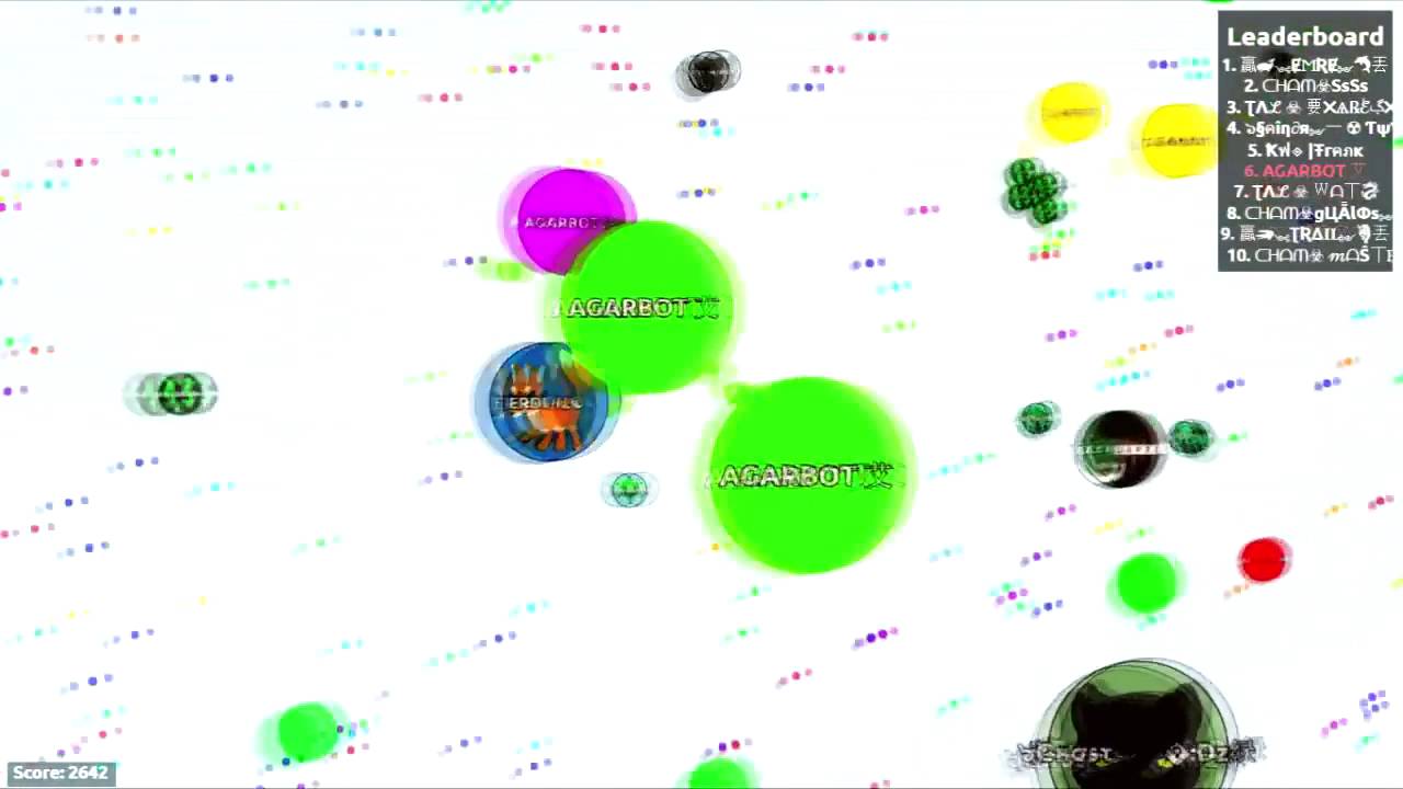 TYT Clan Face Reveal Crystal, Sirius,Tempest,Anni,Sorrywin - YouTube