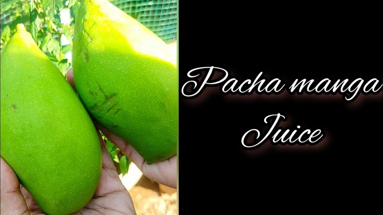 Pacha manga juice recipe in tamil - YouTube