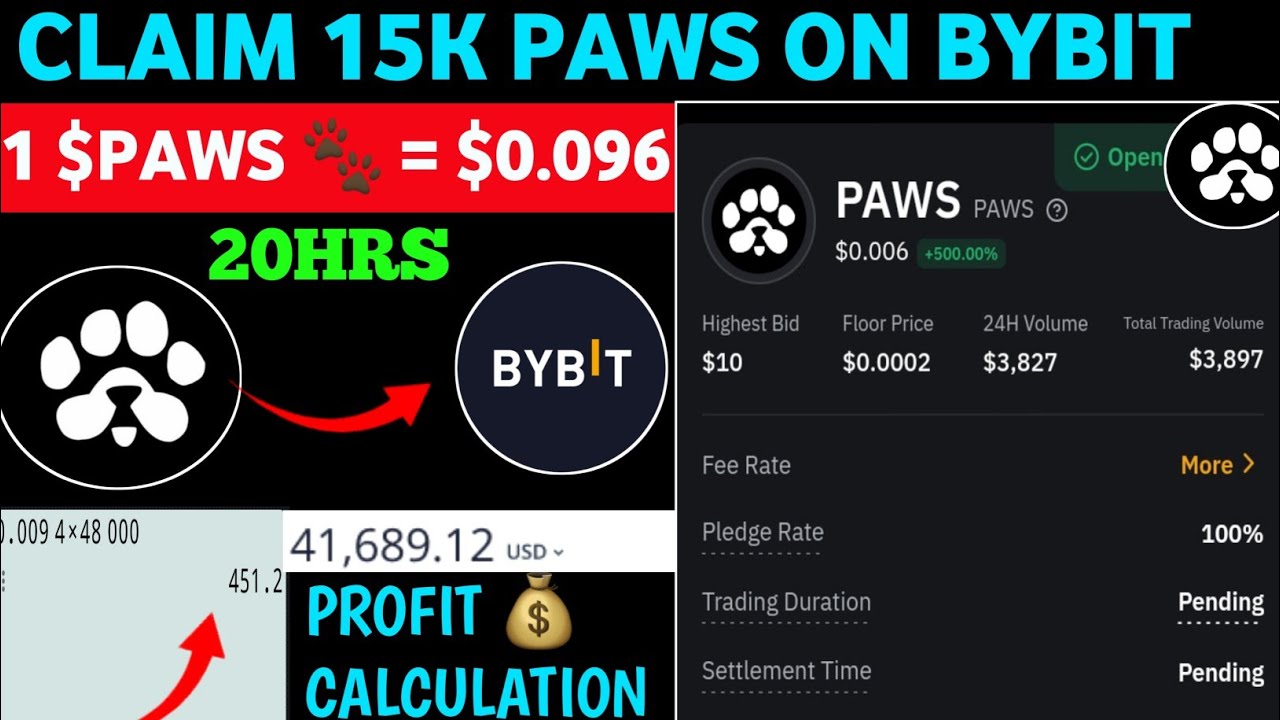 PAWS 🐾 WITHDRAWAL TO Bybit - Claim 15k PAWS - YouTube