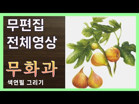 [Düzenlenmemiş-Tam Video] Renkli kalemlerle incir çizimi | çizmeyi öğrenme