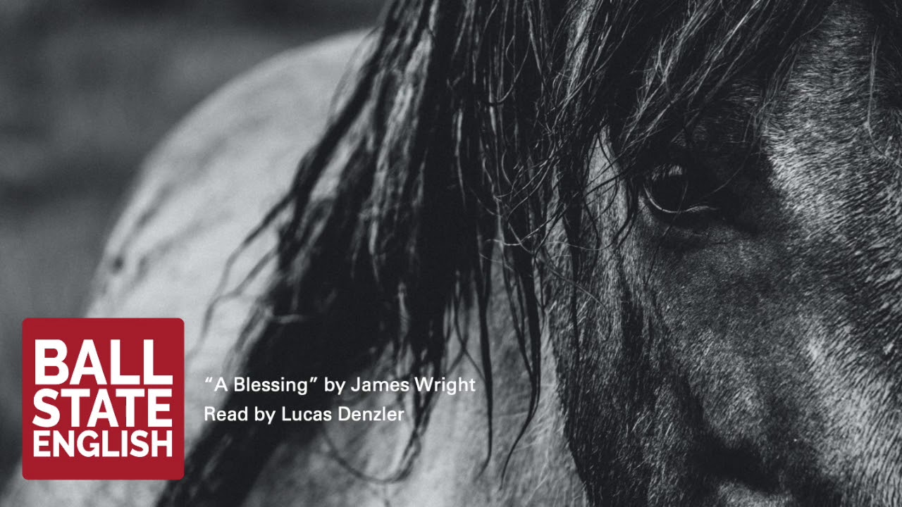 Lucas Denzler: "A Blessing" by James Wright - YouTube