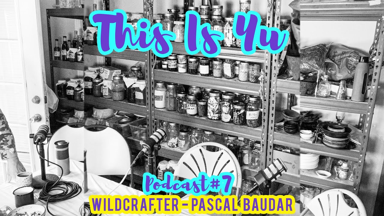 PASCAL BAUDAR - FORAGER / WILDCRAFTER - THIS IS YU PODCAST EP# 7 - YouTube