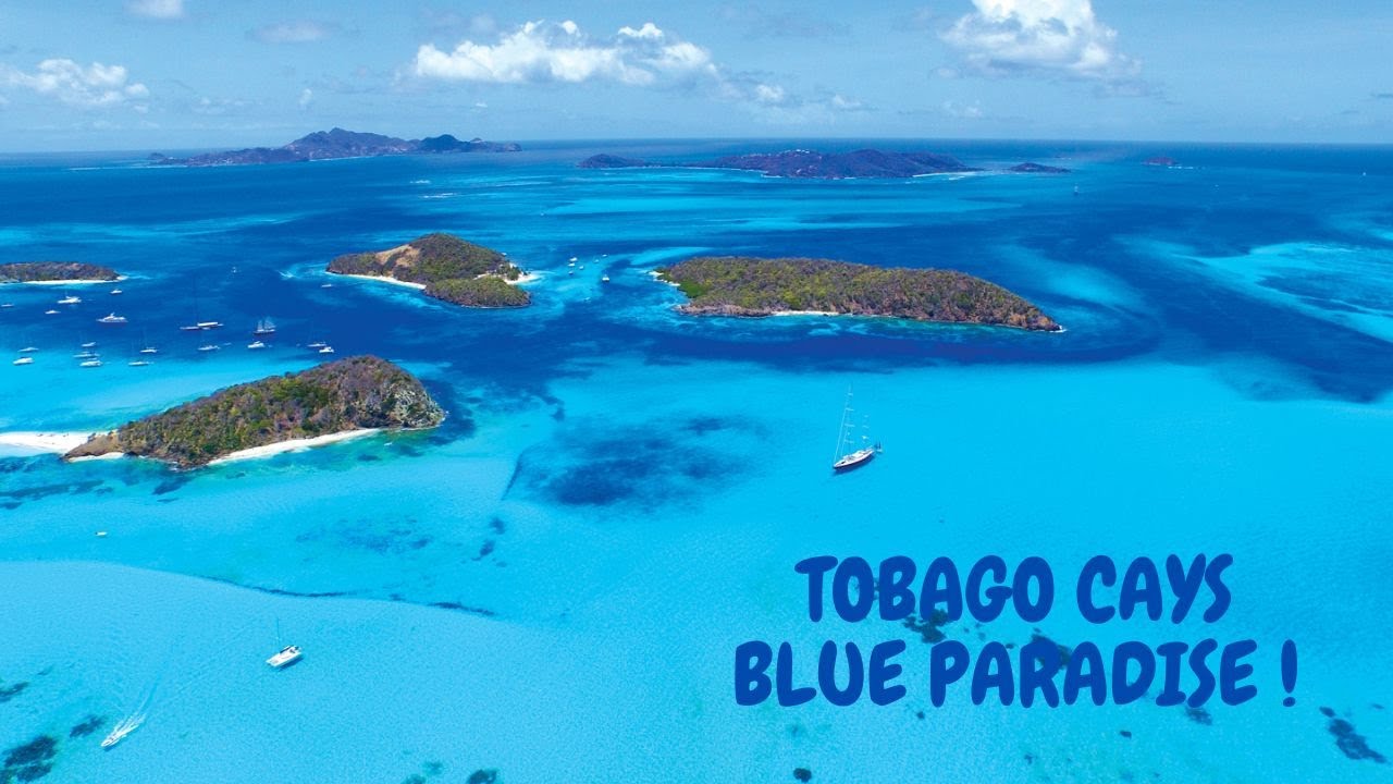 Tobago Cays incredible blue / le bleu incroyable des Tobago Cays - YouTube