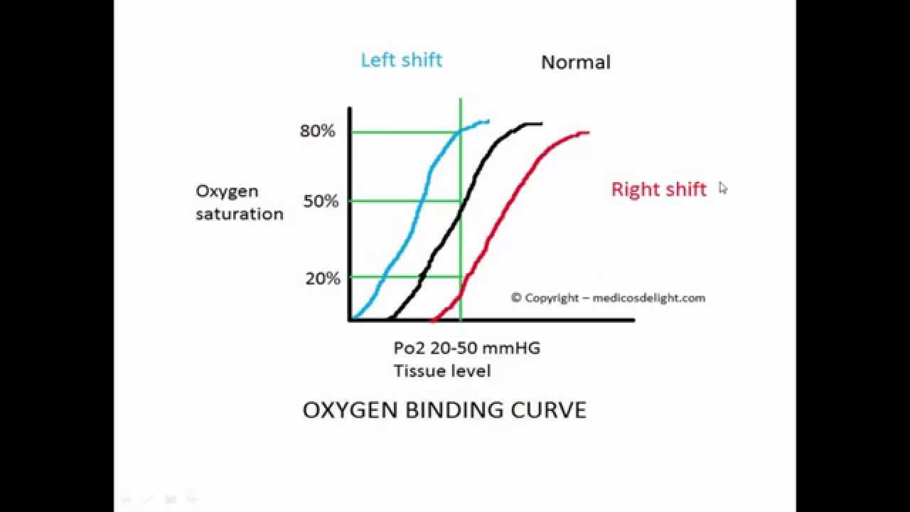 oxygen dissociation curve - YouTube