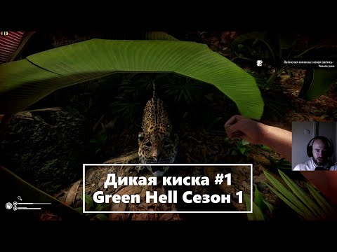 Дикая киска #1 | Green Hell | Сезон 1 | Выживание Зеленый Ад 16+