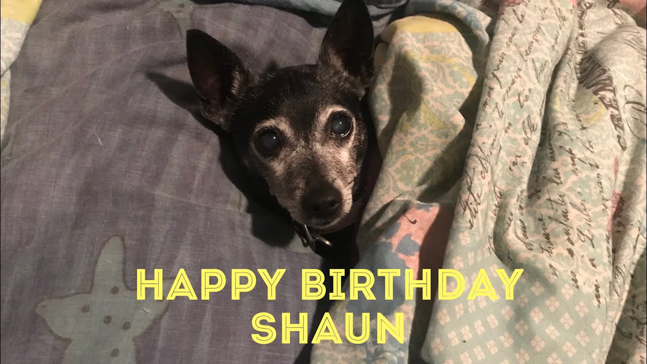 Happy birthday Shaun my son - YouTube