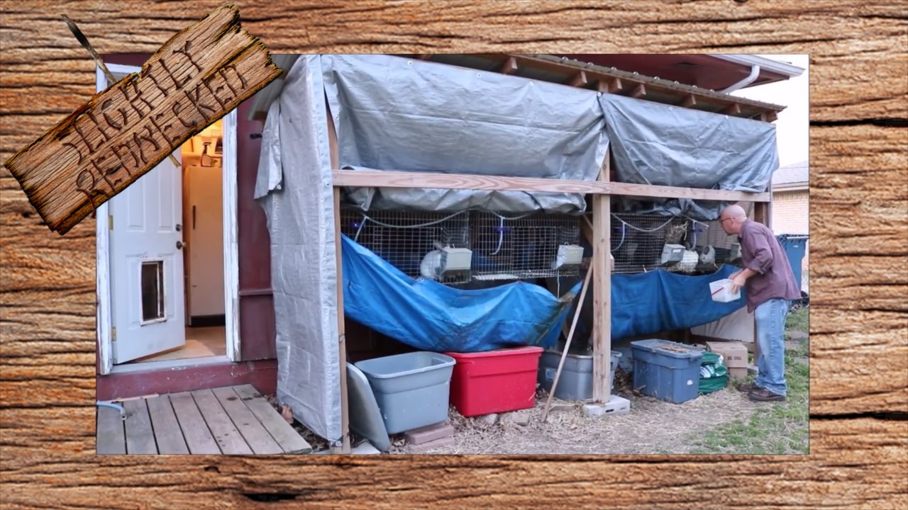 How Much Work Are Meat Rabbits?: The SR Rabbit Update 3-21-17 - YouTube